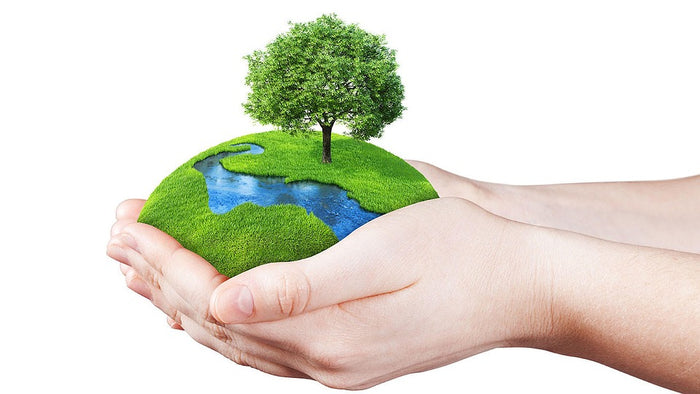 Sustainable Solutions: 10 Steps Towards a Better Planet – Eco Trade Company