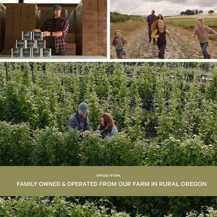 Indoor Herb Garden Starter Kit Certified Usda Organic Non Gmo 5 He